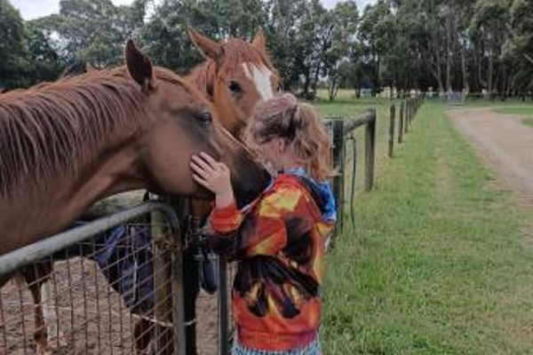 Our Therapeutic Approach - Horses Healing Us